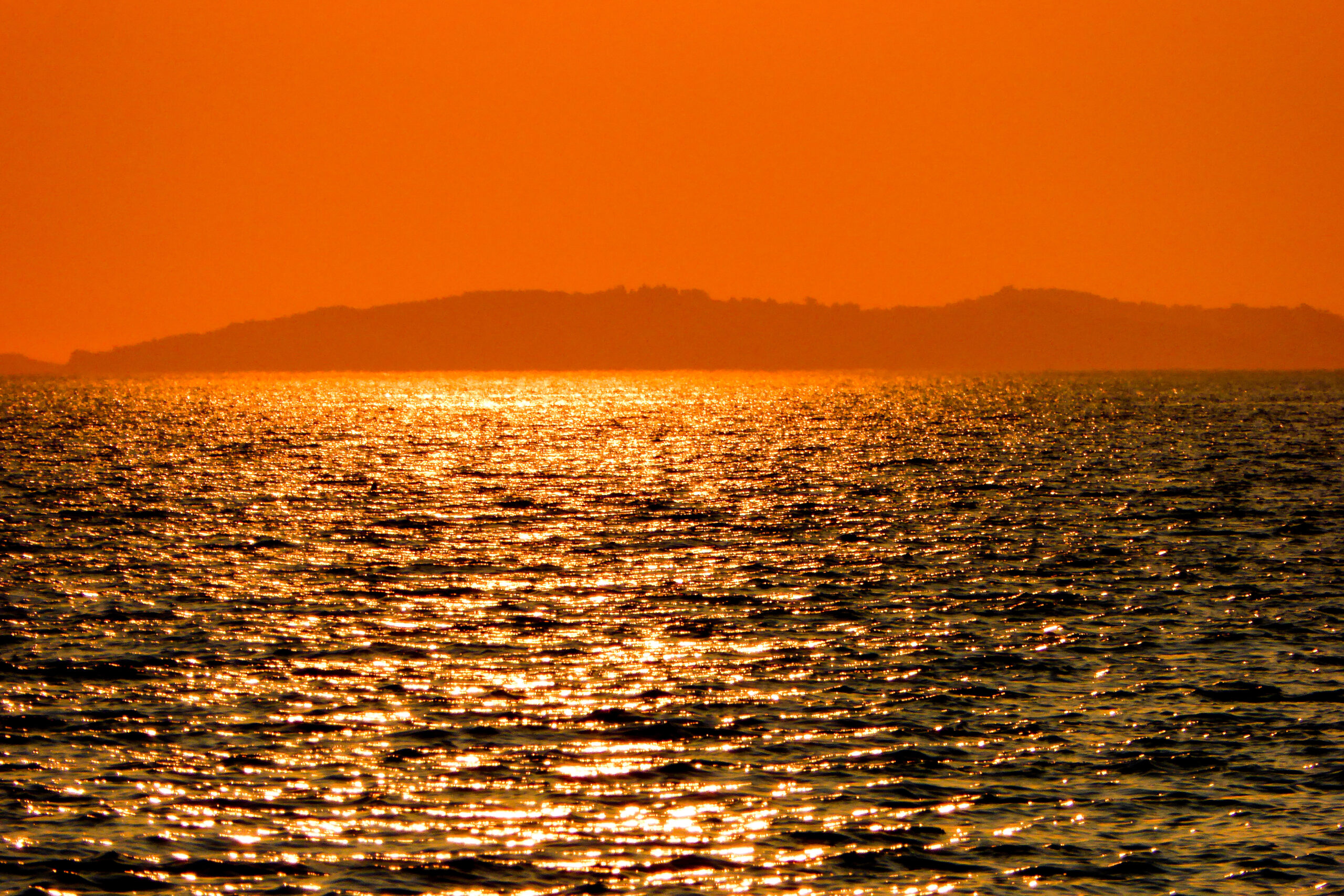 Δυτικές ακτές ΗΠΑ: Κύμα καύσωνα στους 47 βαθμούς η Καλιφόρνια | dimosio.gr