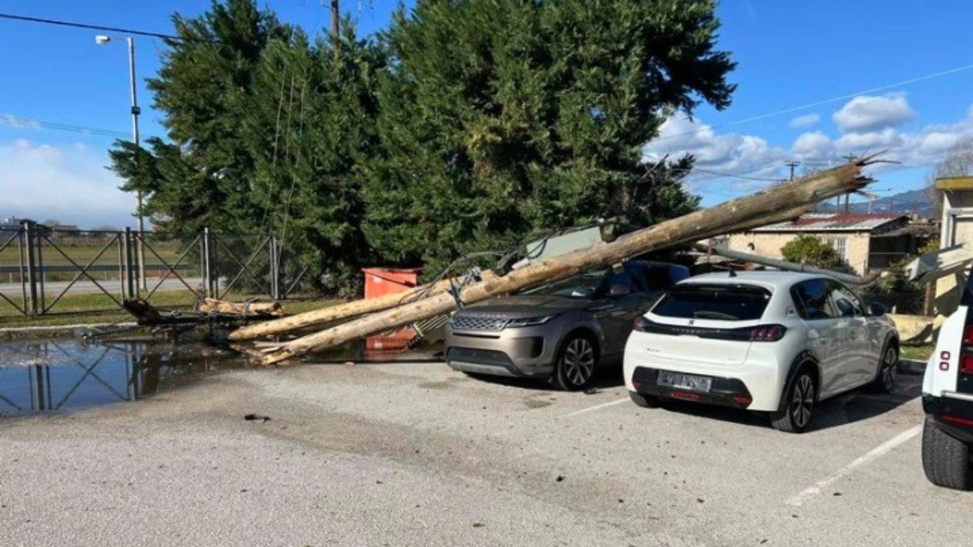 Φθιώτιδα: Ζημιές λόγω των ισχυρών ανέμων και πολύωρες διακοπές ρεύματος | dimosio.gr